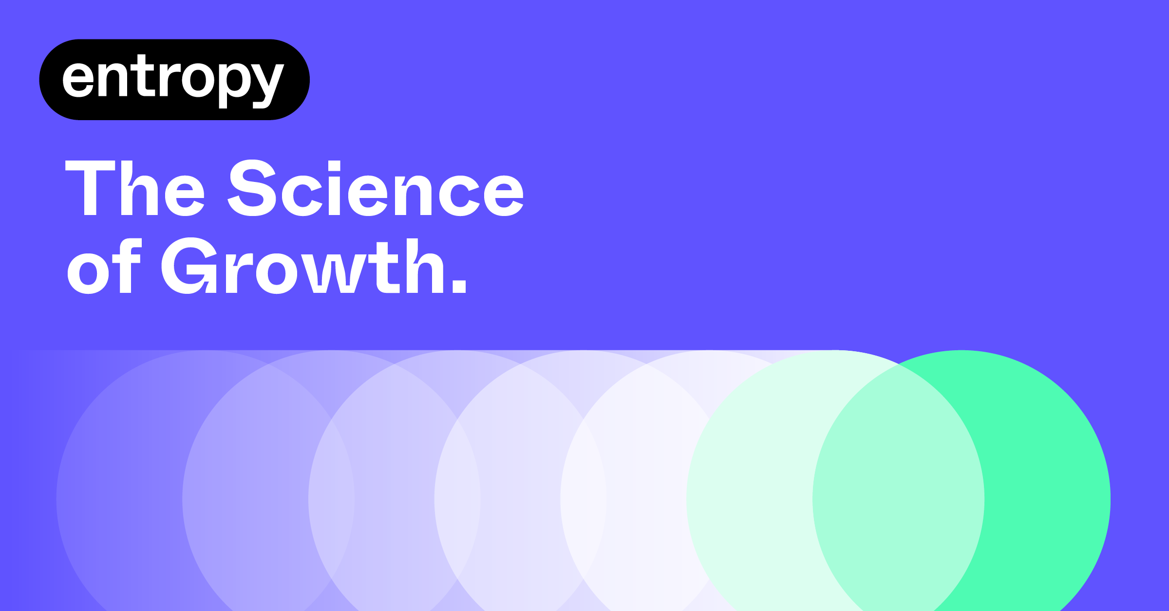 Amazon Marketing Mix Modelling - Entropy